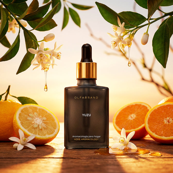 Fragancia Yuzu 30ml – Olfabrand
